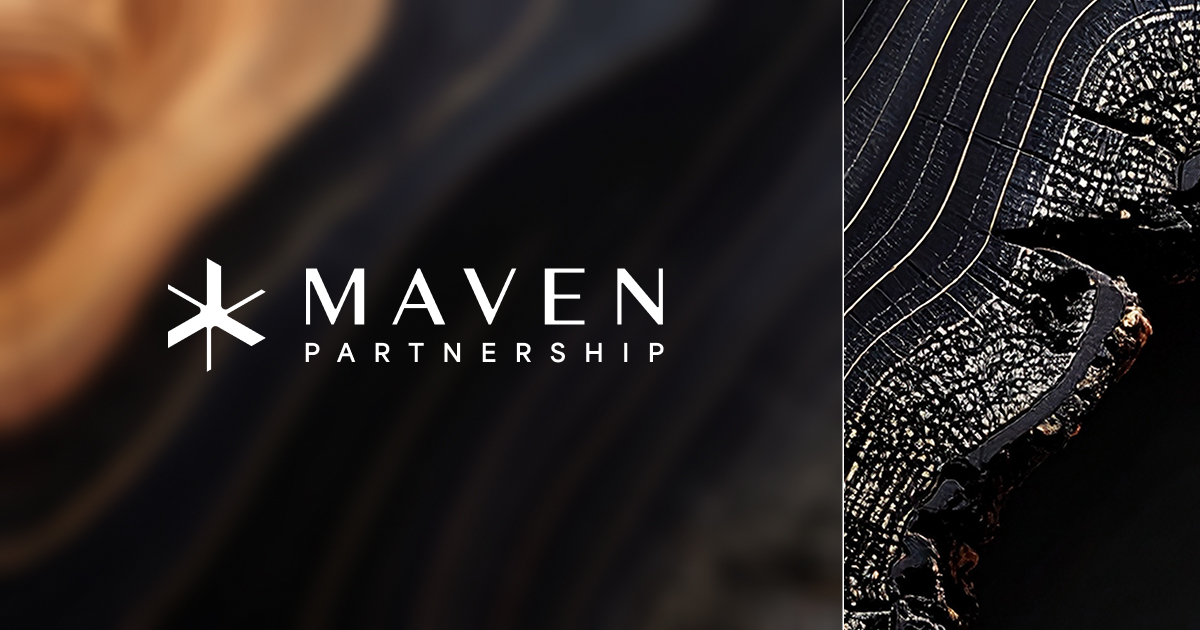 The Team | Maven Partnership